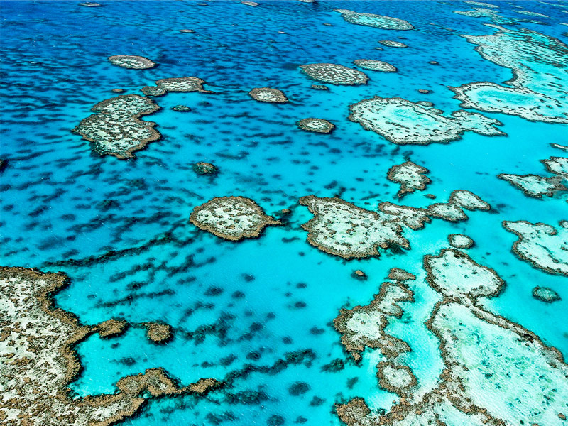 10 Best Coral Reef Vacation Destinations in the World – Holidays