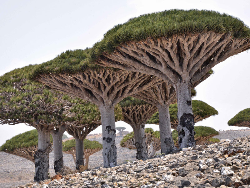 20+ Most Secluded Places to See Around the World – Holidays