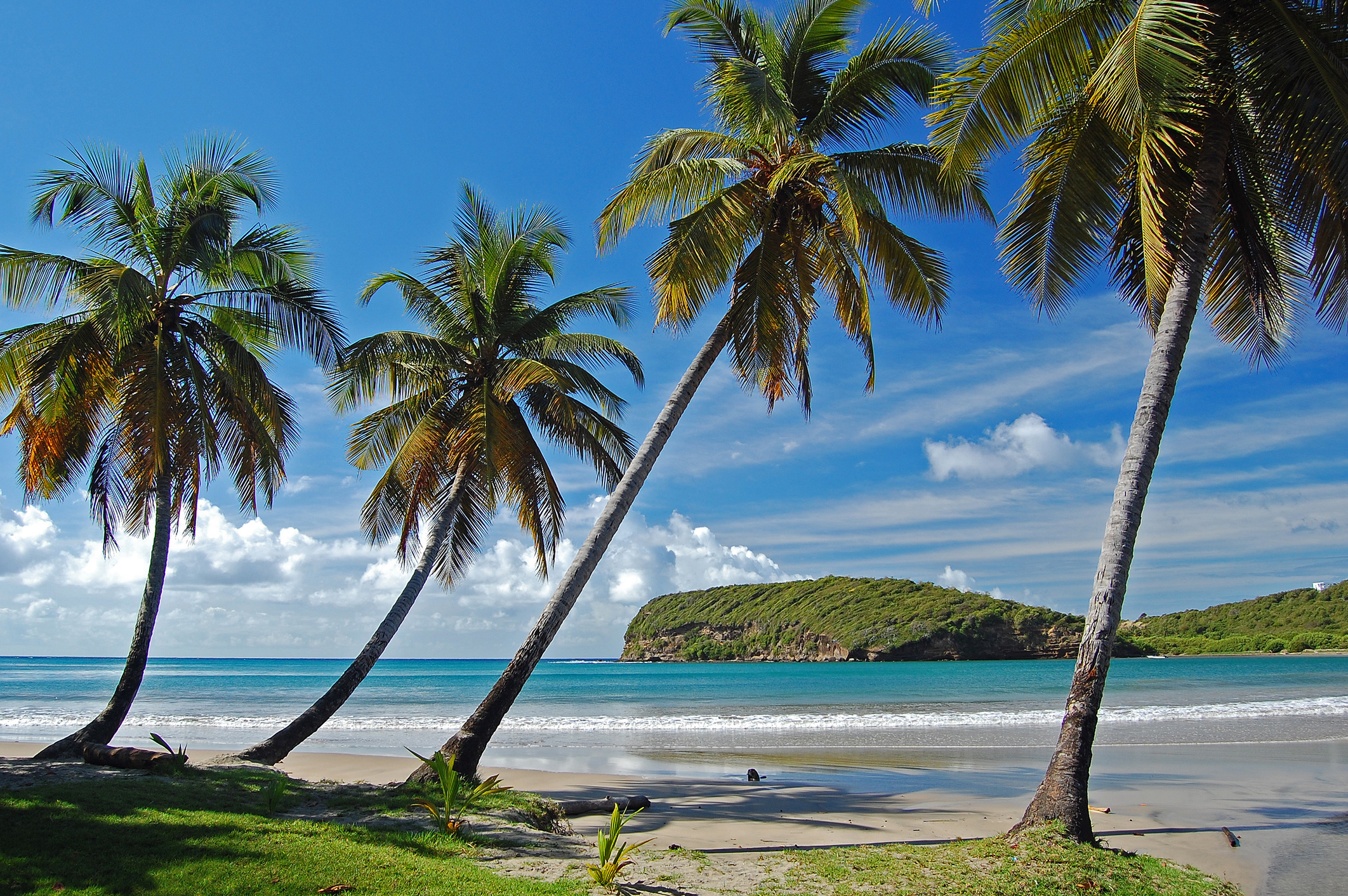 15+ Best Places to Spend Christmas 2025 on the Beach – Holidays