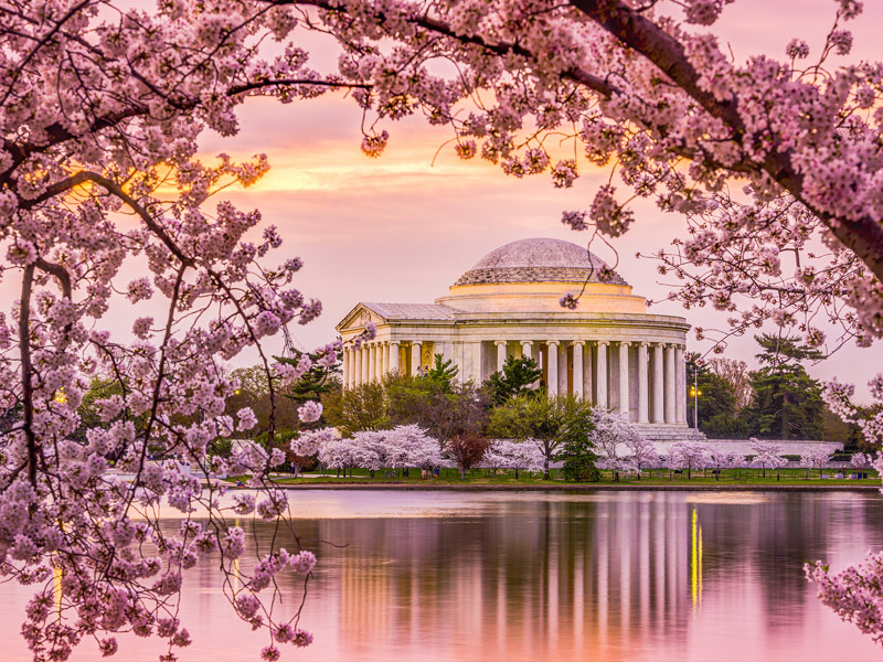 20 Stunning Spring Destinations in the World – Holidays