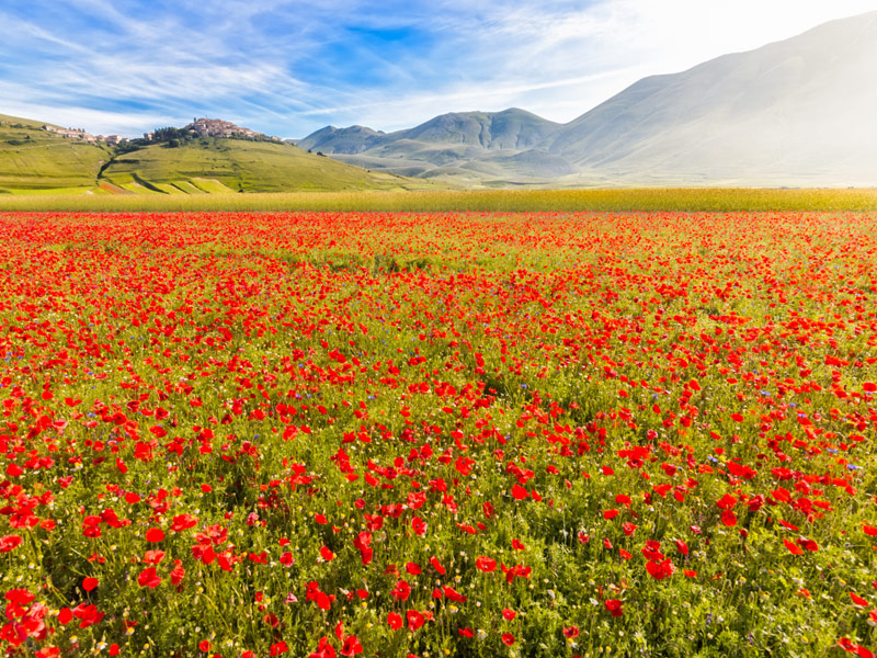 20 Stunning Spring Destinations in the World – Holidays