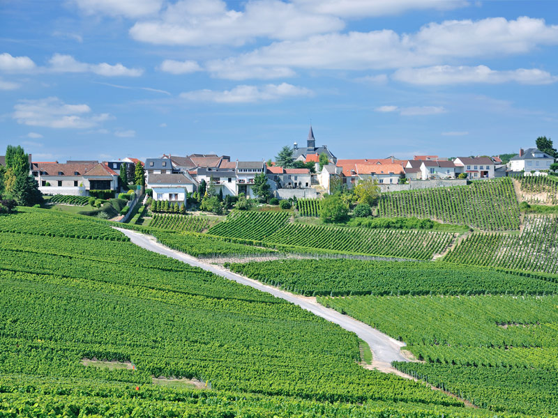 12 Best Wine and Vineyard Regions in Europe (with Photos) – Holidays
