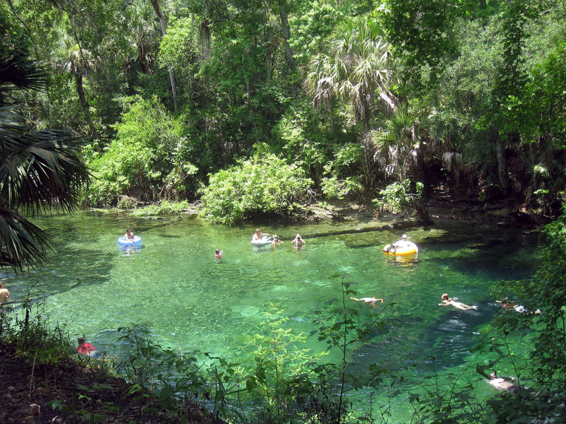Top 11 Natural Springs in Central Florida (with Photos) – Holidays