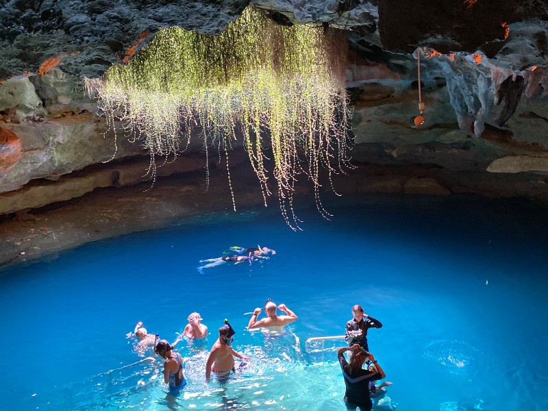Devil’s Den Cave (Williston, FL) – Photos & Details – Holidays