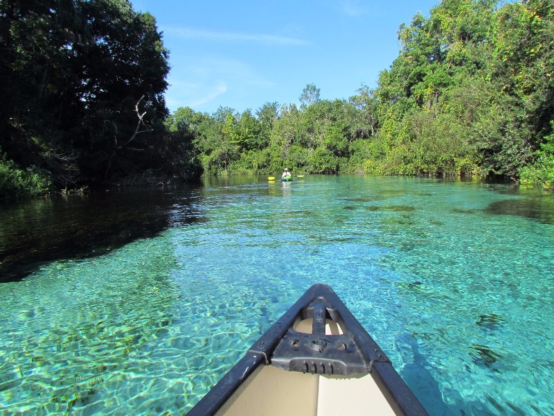 Top 11 Natural Springs in Central Florida (with Photos) – Holidays