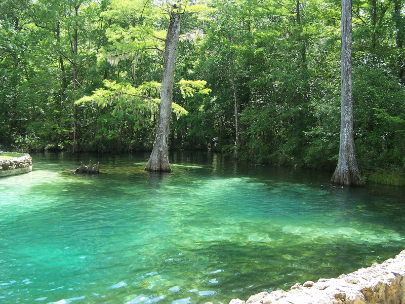 Top 11 Natural Springs in Central Florida (with Photos) – Holidays