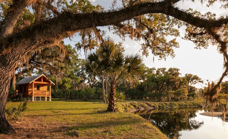 20 Coolest Cabin Rentals in Florida (Updated 2025) – Holidays