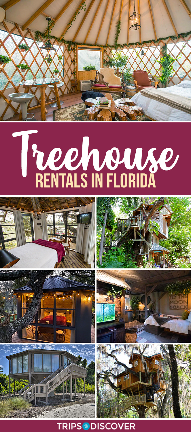 11 Coolest Treehouse Rentals in Florida – Holidays