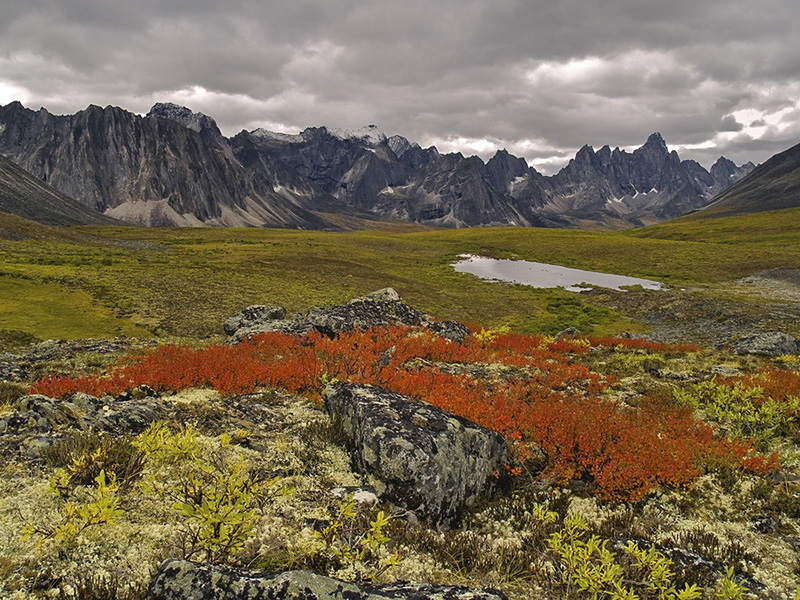 15+ Last Remaining True Wilderness Destinations in the World – Holidays