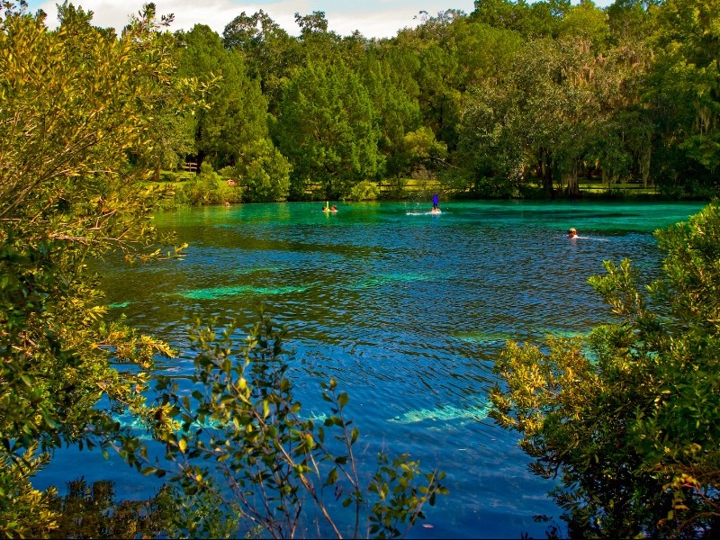 Top 11 Natural Springs in Central Florida (with Photos) – Holidays