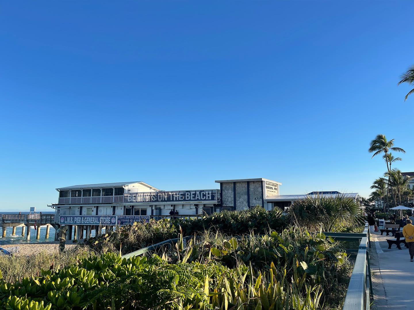 15 Best Beachfront Restaurants in Florida – Holidays