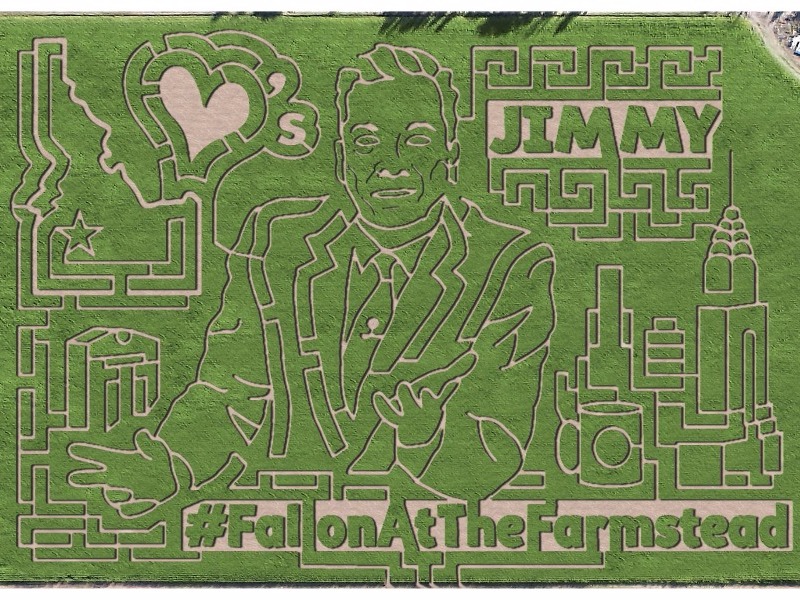 11 Amazing Corn Mazes to Visit in the U.S. – Holidays