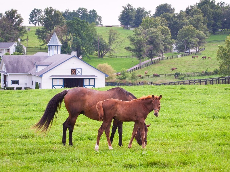 16 Best Weekend Getaways in Kentucky – Holidays