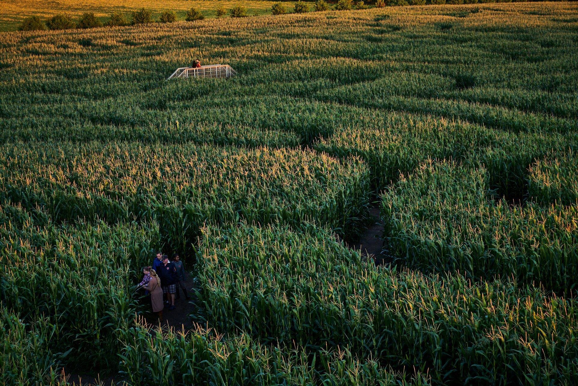 11 Amazing Corn Mazes to Visit in the U.S. – Holidays