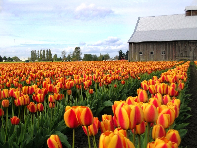 10 Best Weekend Getaways for Easter (with Photos) – Holidays