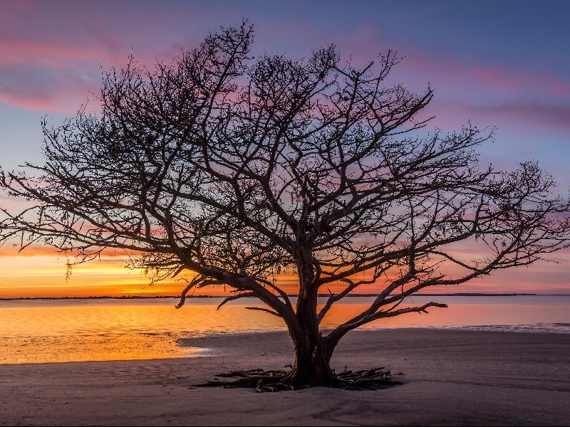 10 Most Beautiful Natural Wonders in Georgia – Holidays