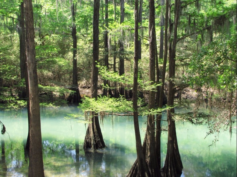 10 Most Beautiful Natural Wonders in Georgia – Holidays