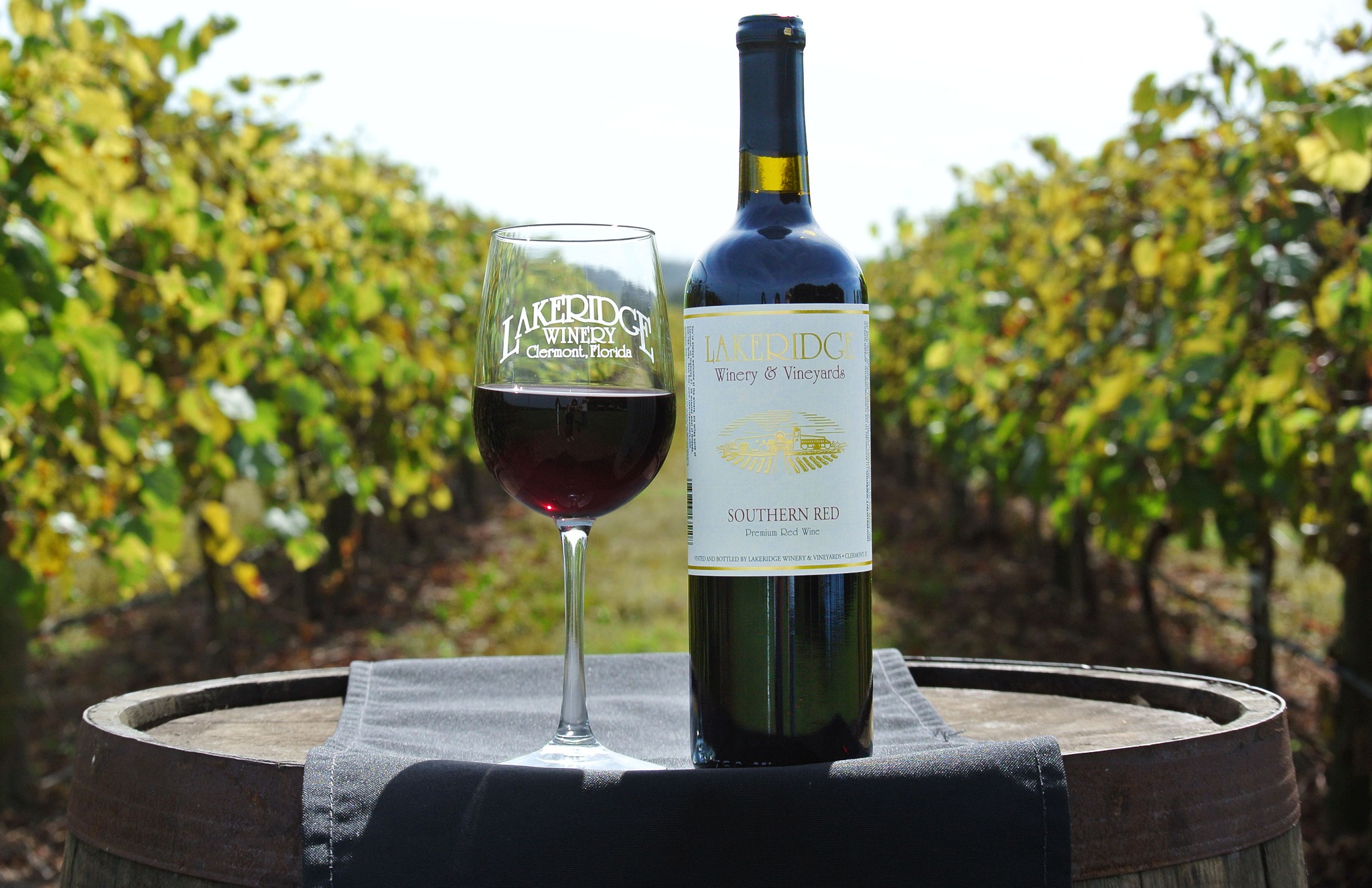 10 Best Wineries in Florida to Visit – Holidays