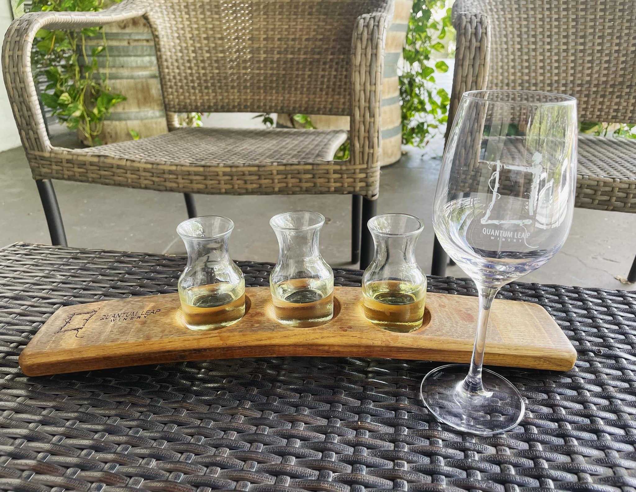 10 Best Wineries in Florida to Visit – Holidays