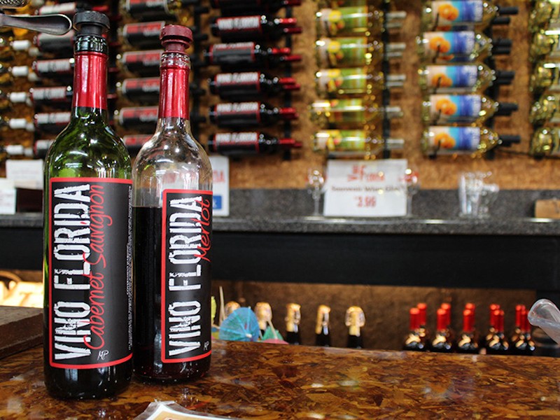 10 Best Wineries in Florida to Visit – Holidays