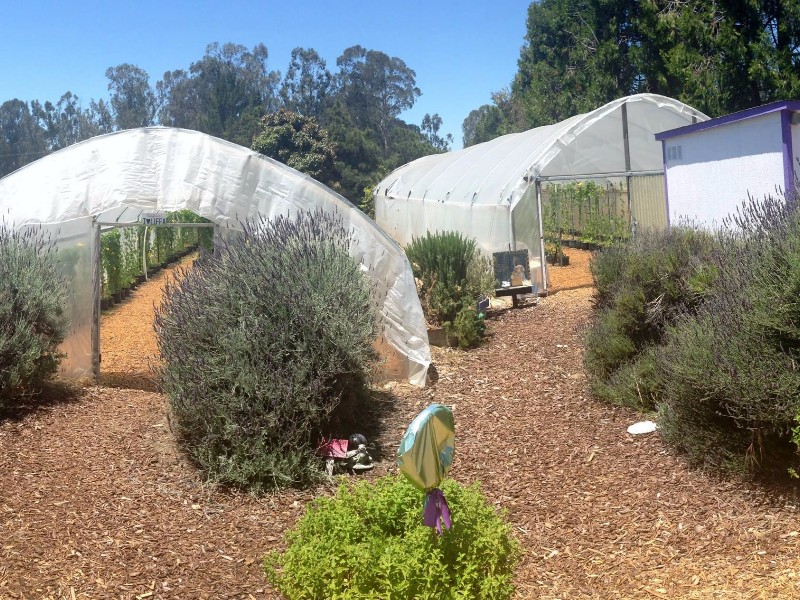 10 Must-See Farms in California You Need to Tour – Holidays