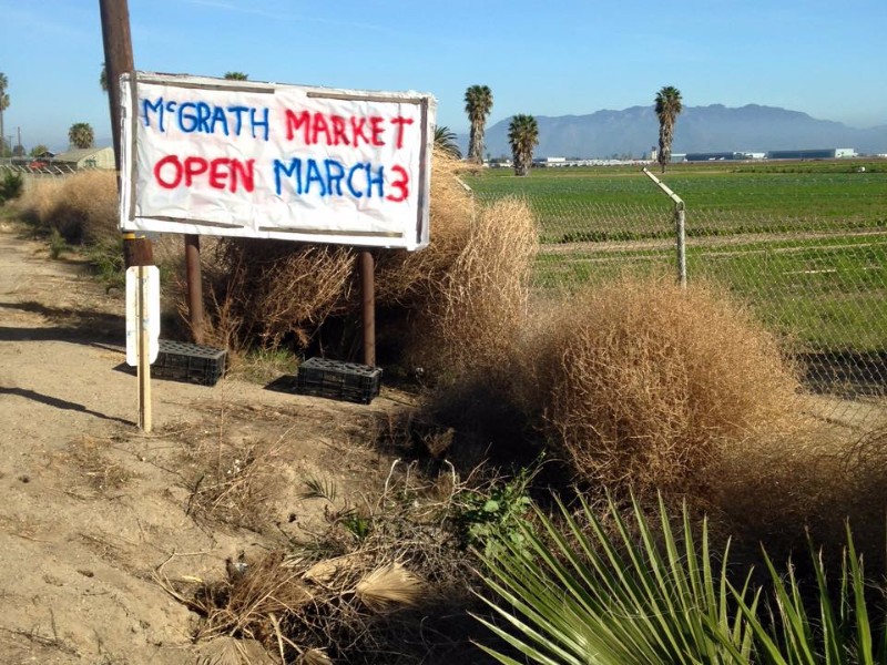 10 Must-See Farms in California You Need to Tour – Holidays