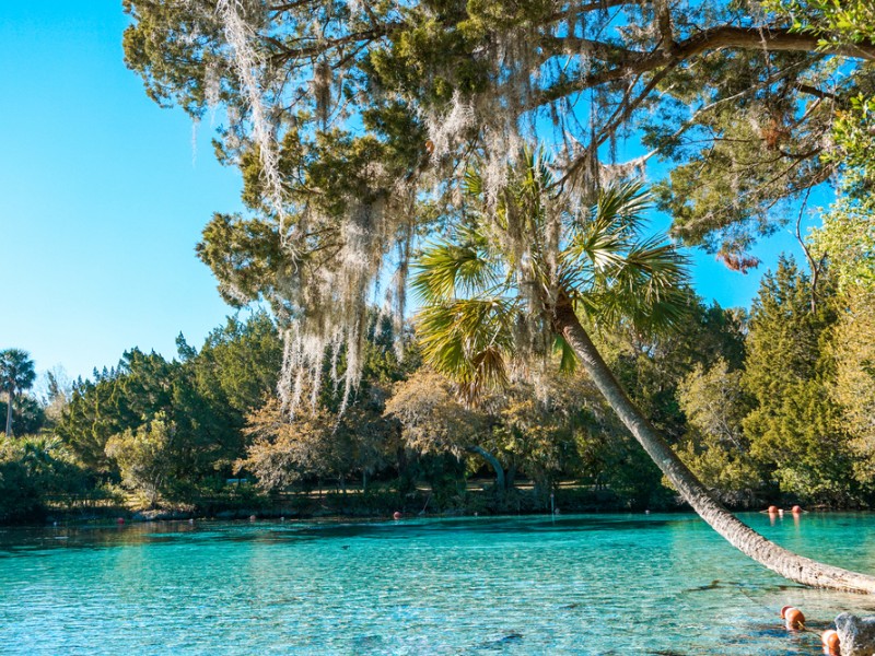 10+ Best Places to Visit in North Florida 2025 (with Photos) – Holidays