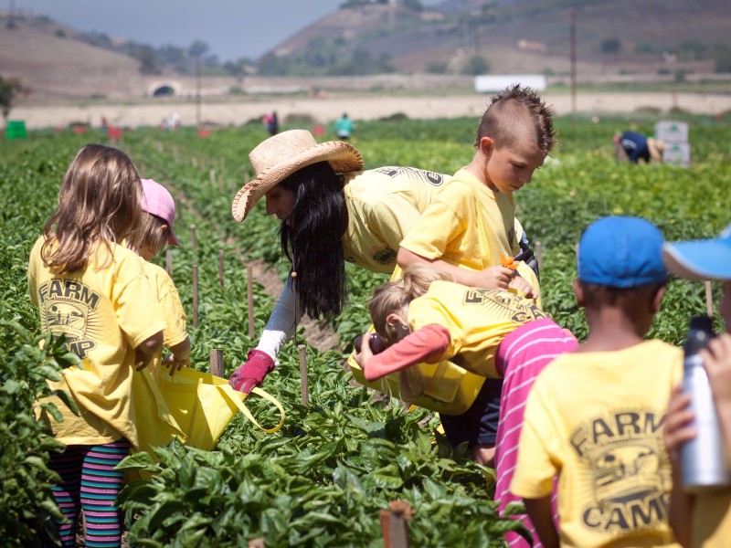 10 Must-See Farms in California You Need to Tour – Holidays