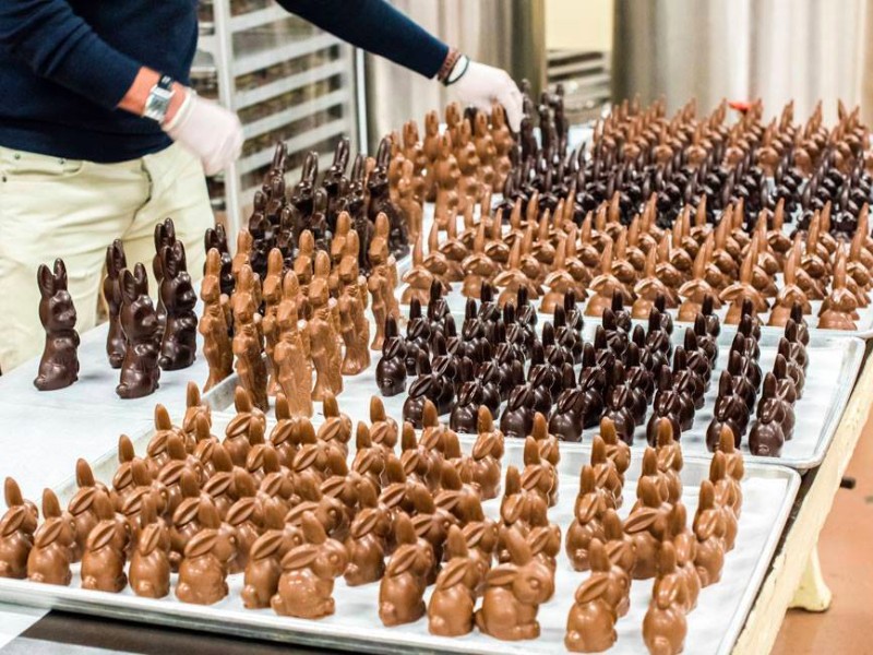 10+ Fun Factory Tours in Florida – Holidays