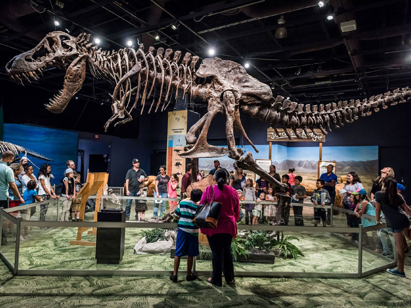 10+ Best Kid-Friendly Museums in Florida – Holidays