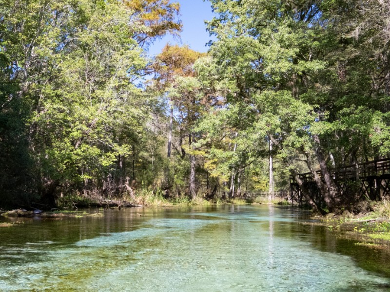 Top 12 Springs in North Florida 2025 (with Photos & Map) – Holidays