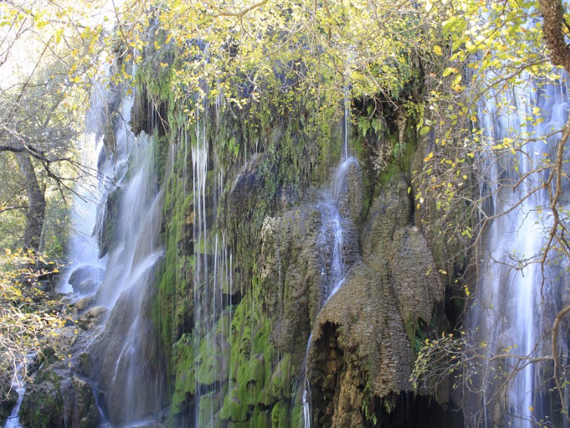 Gorman Falls in Texas is a Must-Visit Natural Wonder (with Photos ...