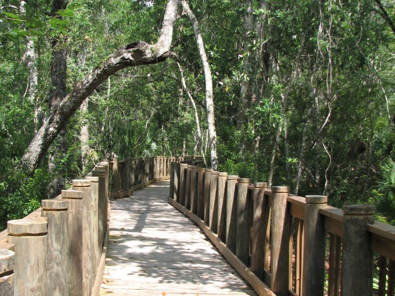 10+ Best Things to Do in New Port Richey, Florida – Holidays