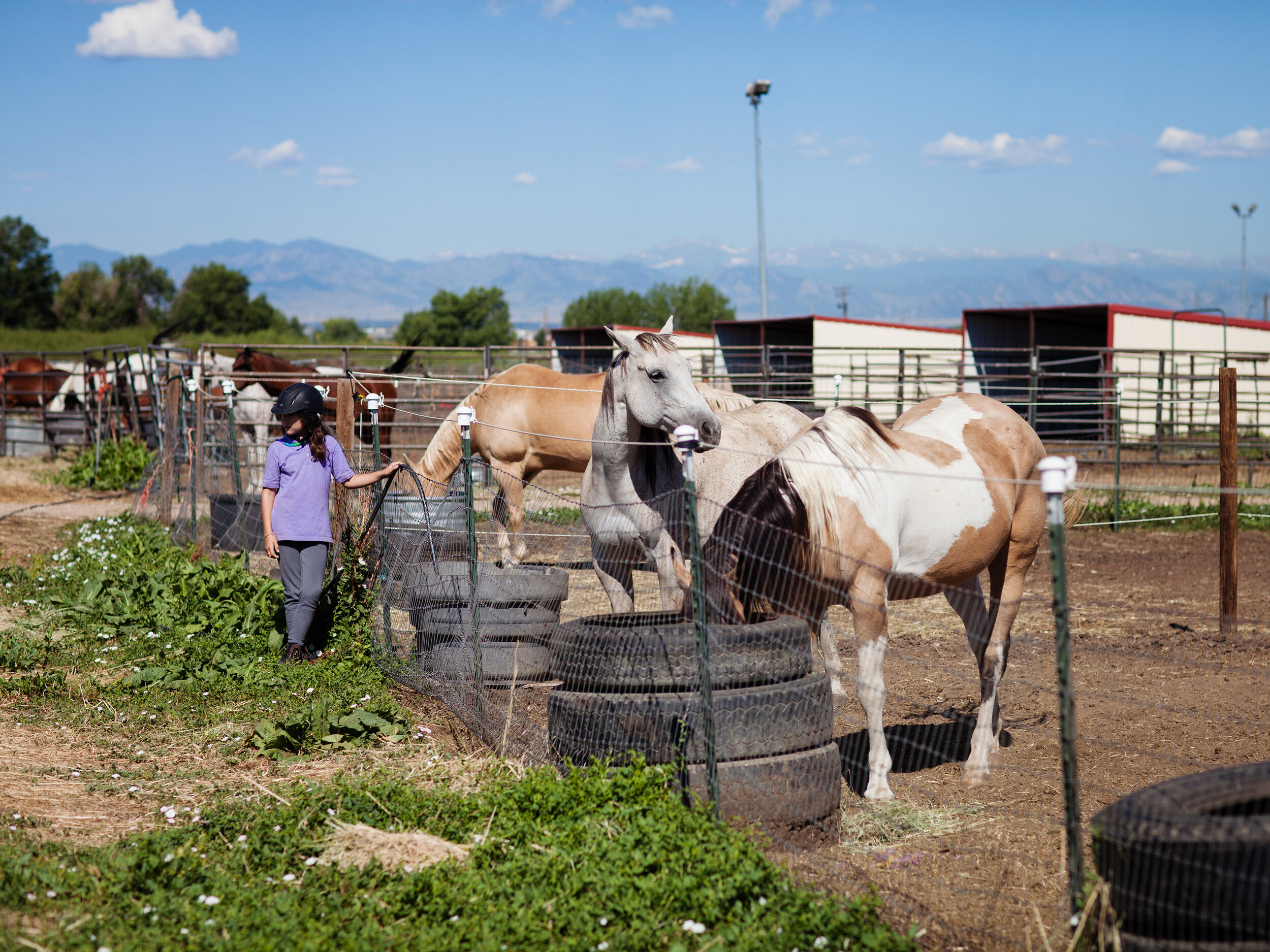 7 Most Fun Colorado Farms to Visit (with Photos) – Holidays