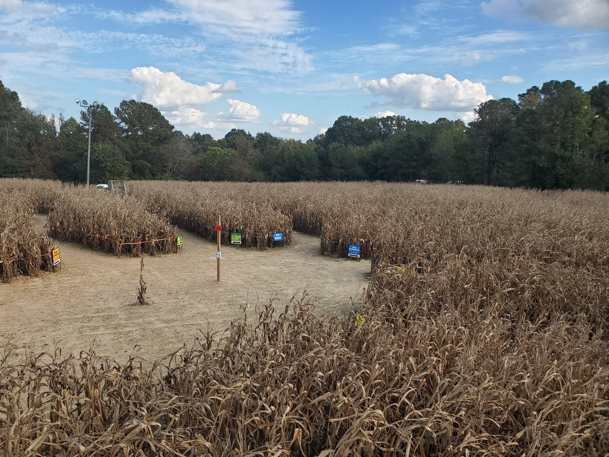 6 North Carolina Corn Mazes to Get Lost in This Fall – Holidays
