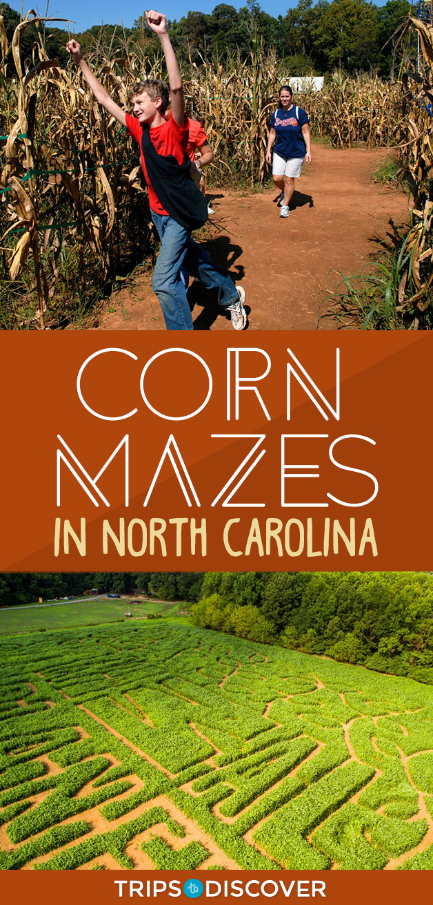 6 North Carolina Corn Mazes to Get Lost in This Fall – Holidays