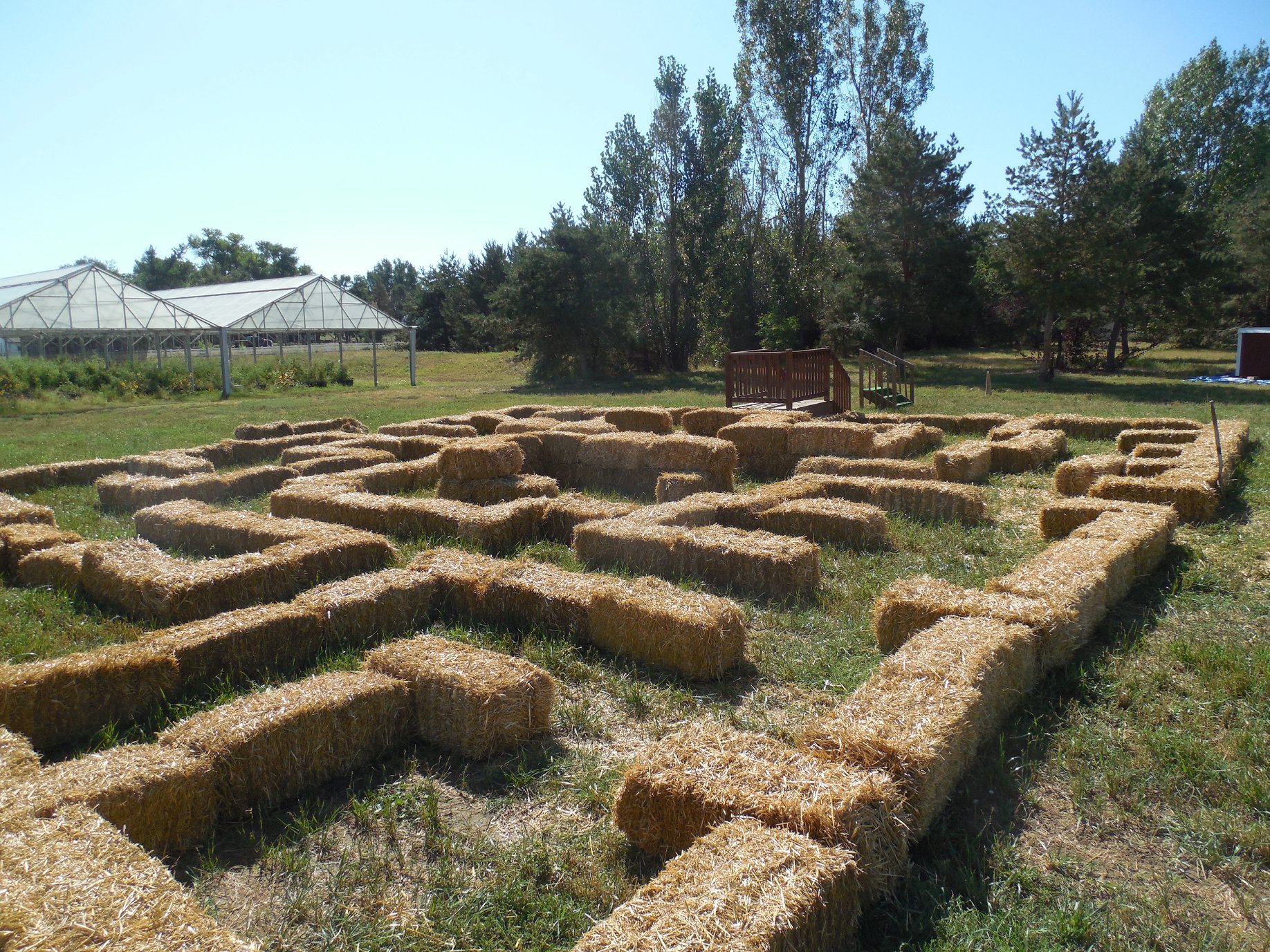 Top 8 Corn Mazes in Colorado (Fall 2025 Guide) – Holidays
