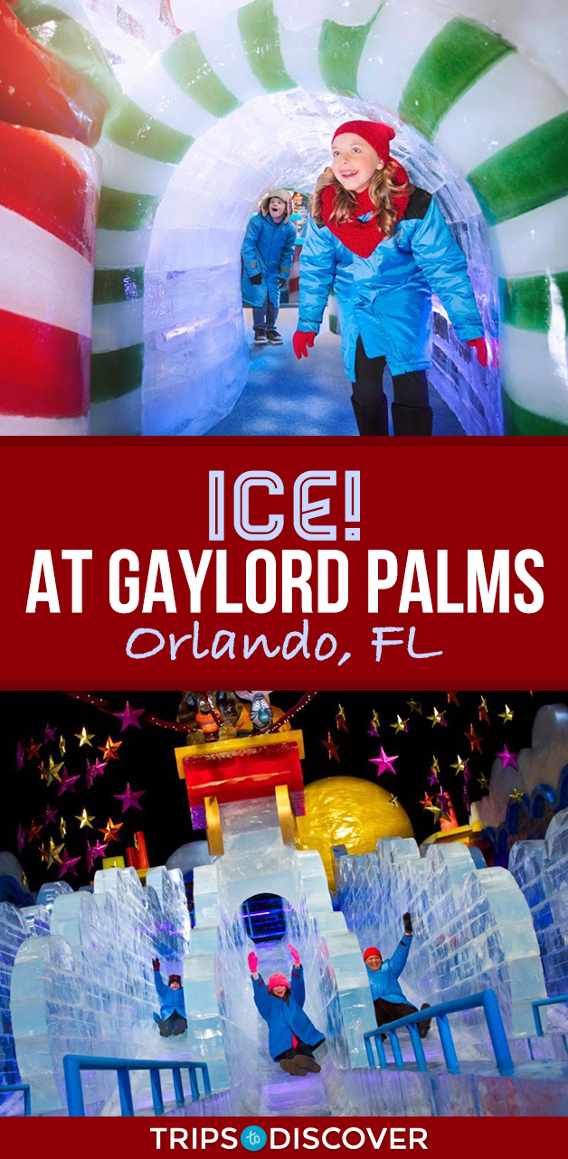 Visit ICE! at Gaylord Palms in Orlando, FL This Christmas 2025 – Holidays