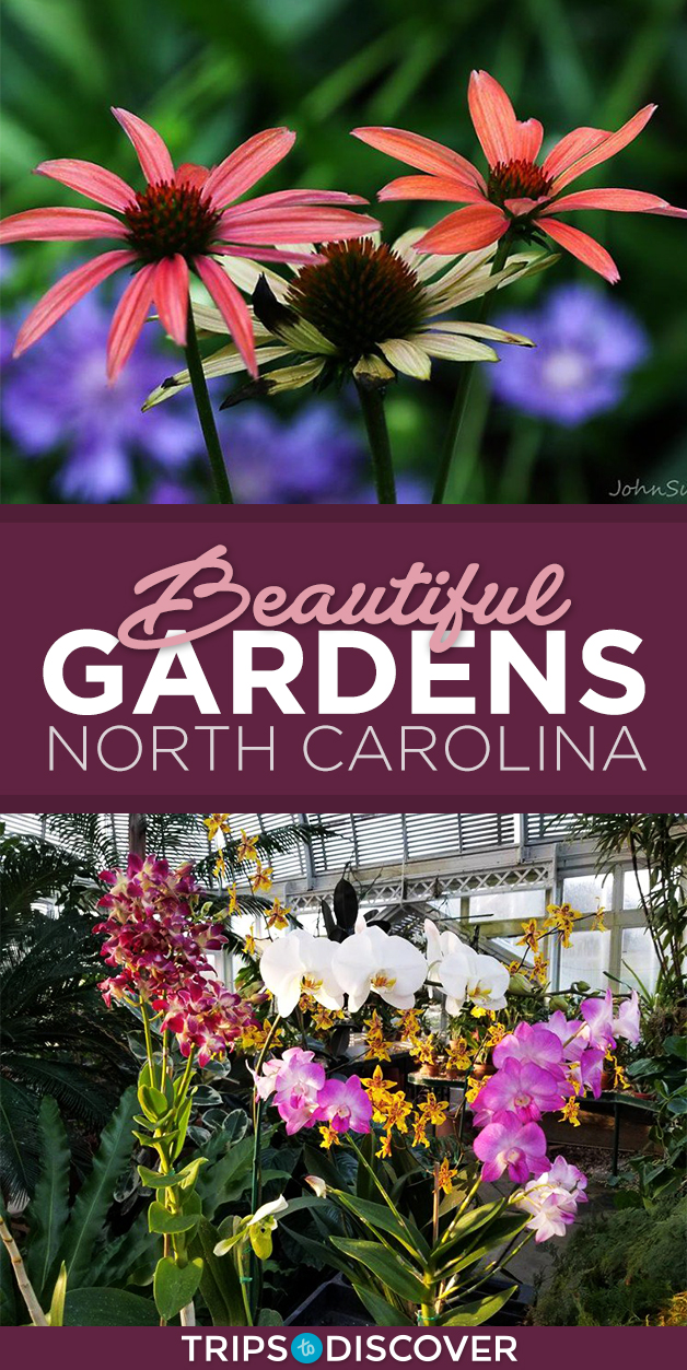 5 Beautiful North Carolina Gardens to Visit in Spring 2025 – Holidays