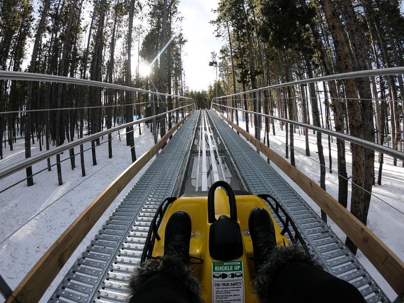 7 Exhilarating Mountain Coasters in Colorado – Holidays