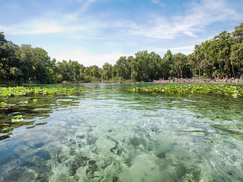Top 11 Natural Springs in Central Florida (with Photos) – Holidays