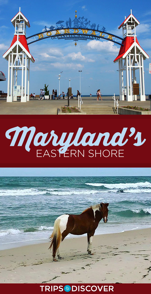 The 7 Best Things to Do on Maryland’s Eastern Shore – Holidays