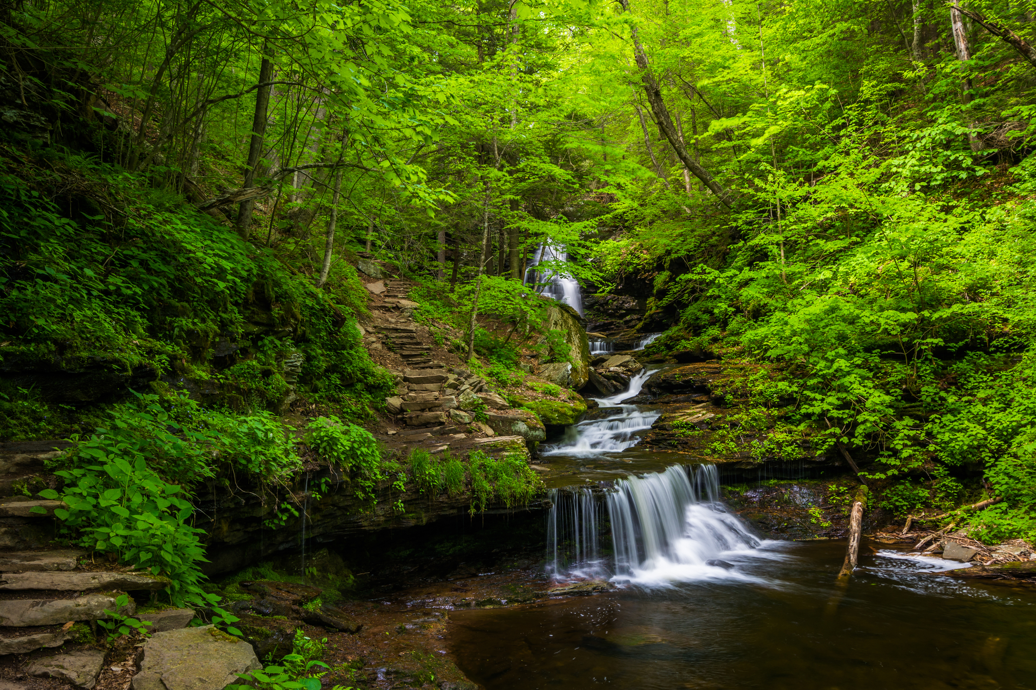 11 Most Stunning Natural Areas in Pennsylvania – Holidays