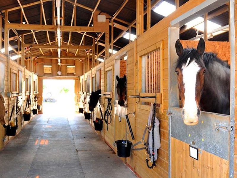 7 Best Dude Ranches in Tennessee (with Prices & Photos) – Holidays