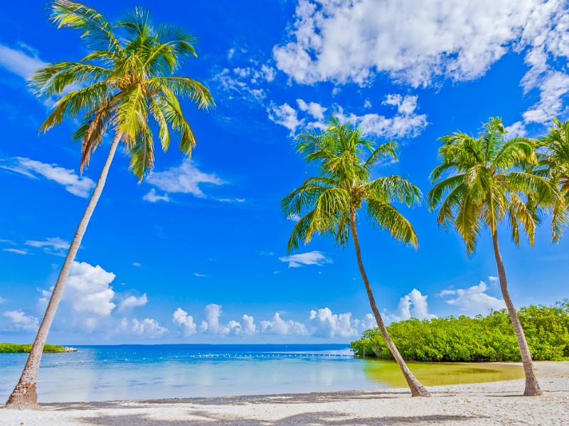 12 Best Places to Visit in South Florida – Holidays