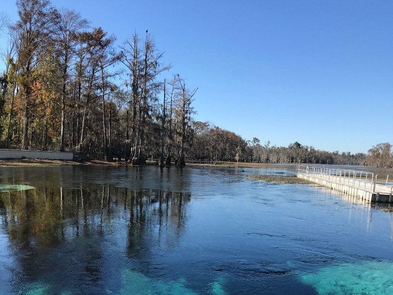 Ultimate Guide to Florida Springs (Map + Resources) – Holidays