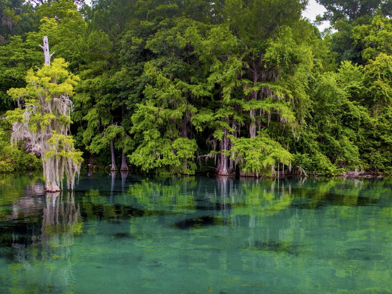 Ultimate Guide to Florida Springs (Map + Resources) – Holidays