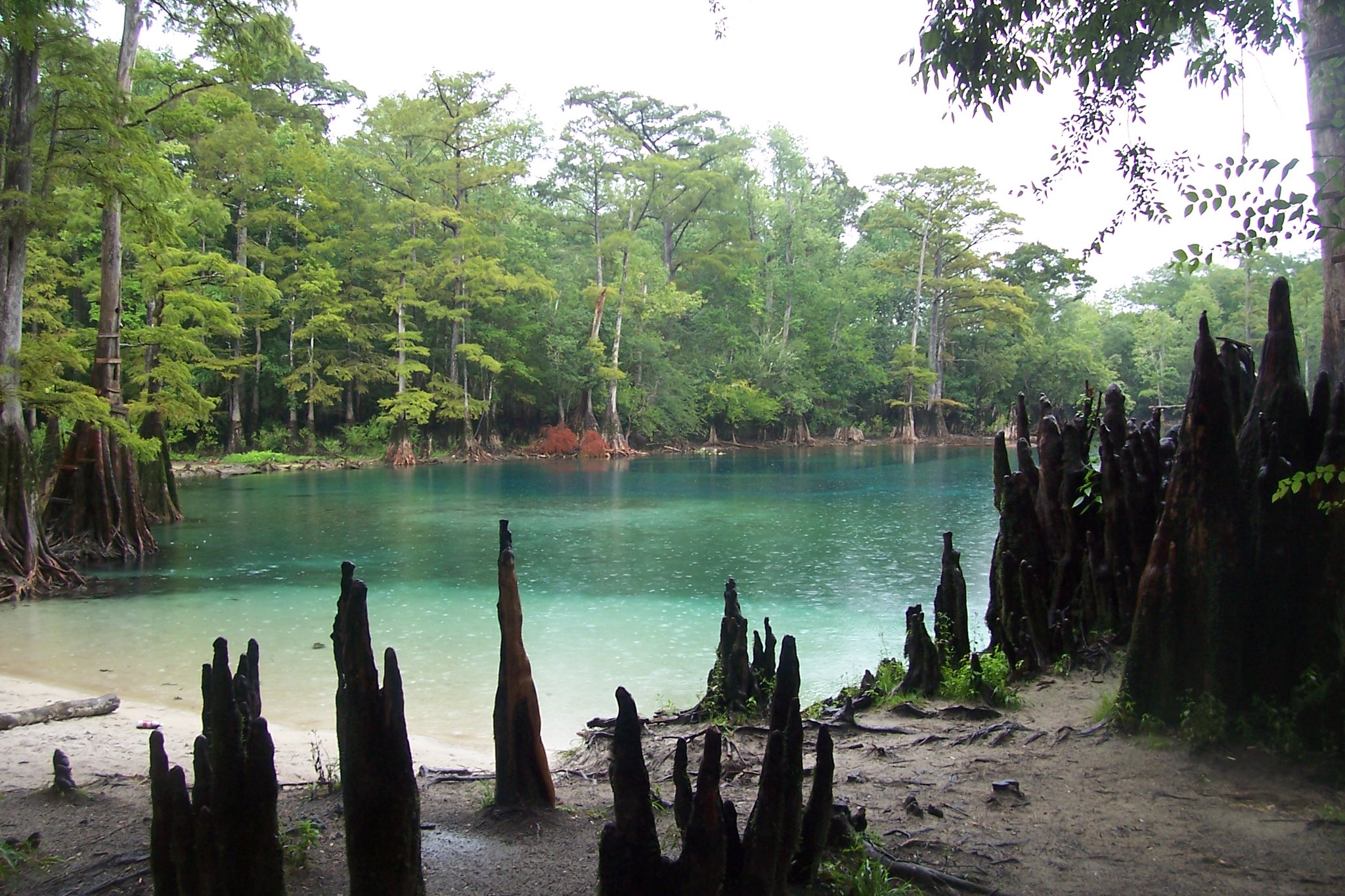 Ultimate Guide to Florida Springs (Map + Resources) – Holidays