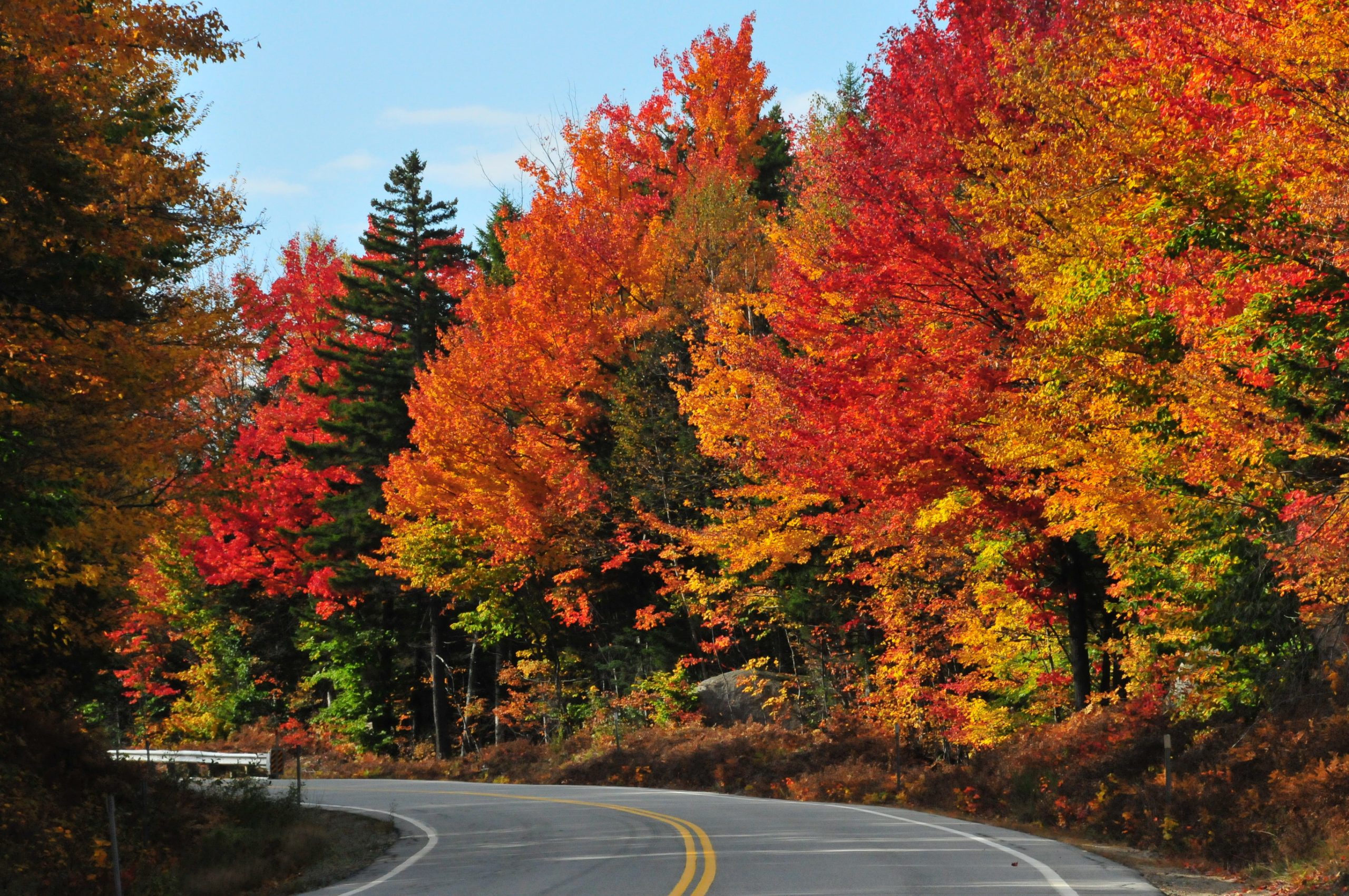 14 Best Places for Fall Foliage in New Hampshire – Holidays