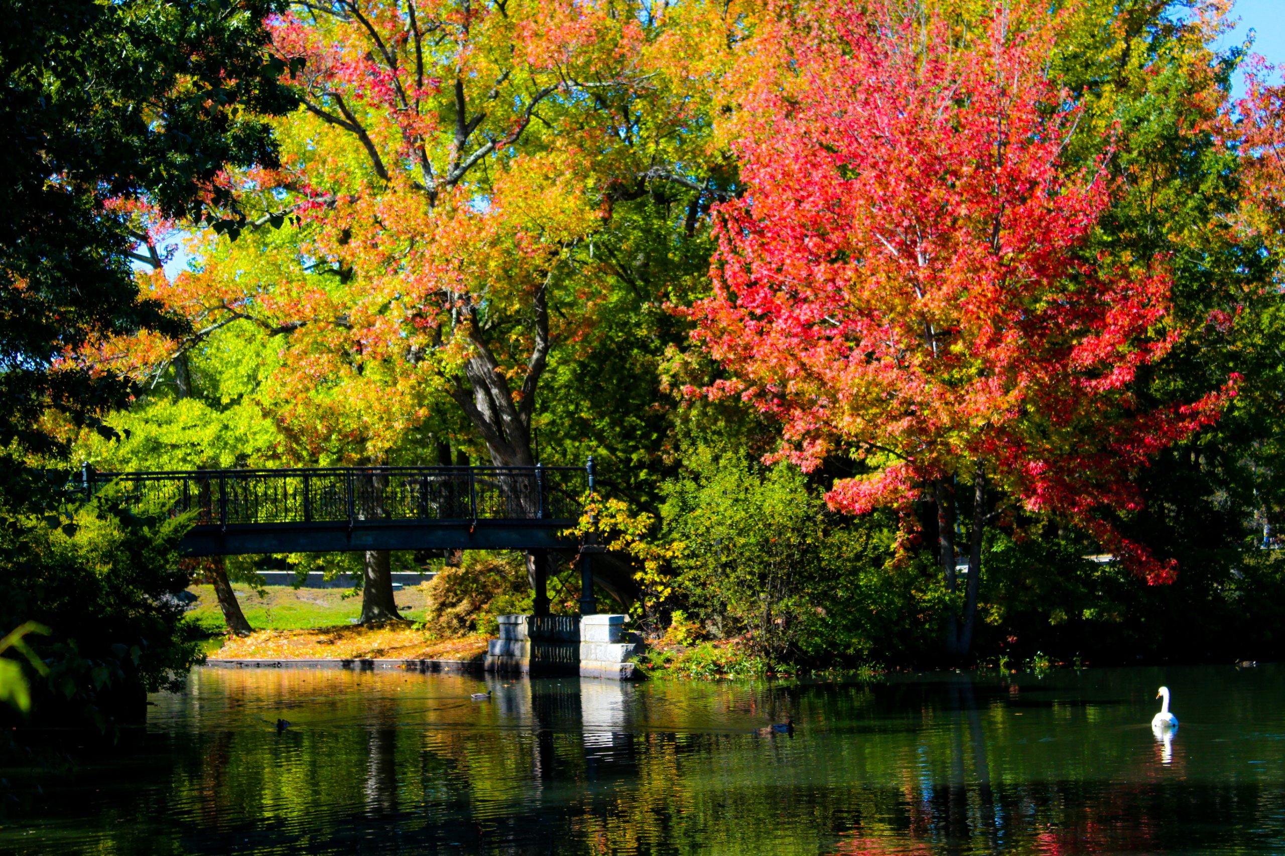14 Best Places to See Fall Foliage in the Northeast – Holidays
